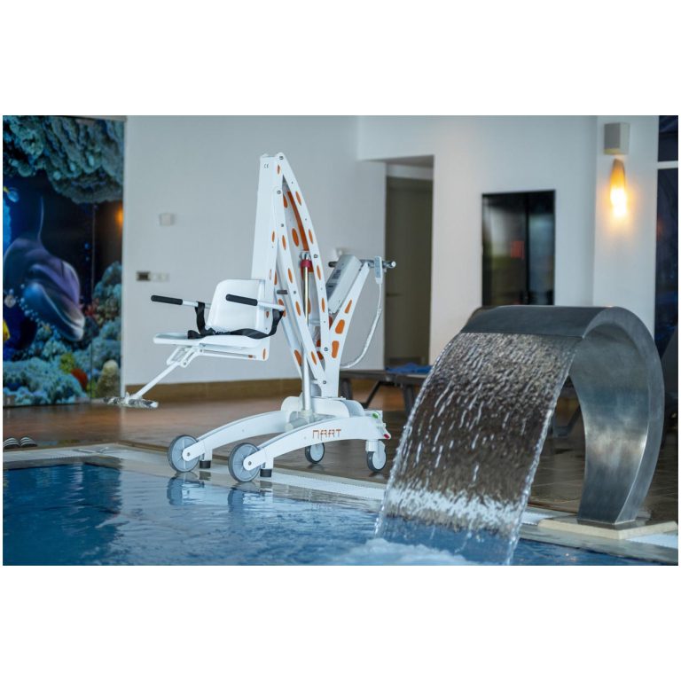 Portable Pool Lift Device - Steel Body Portable Pool Lift - Gilani ...