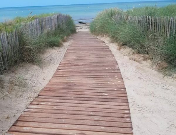 Access Wood - Wooden Decking for Access Paths